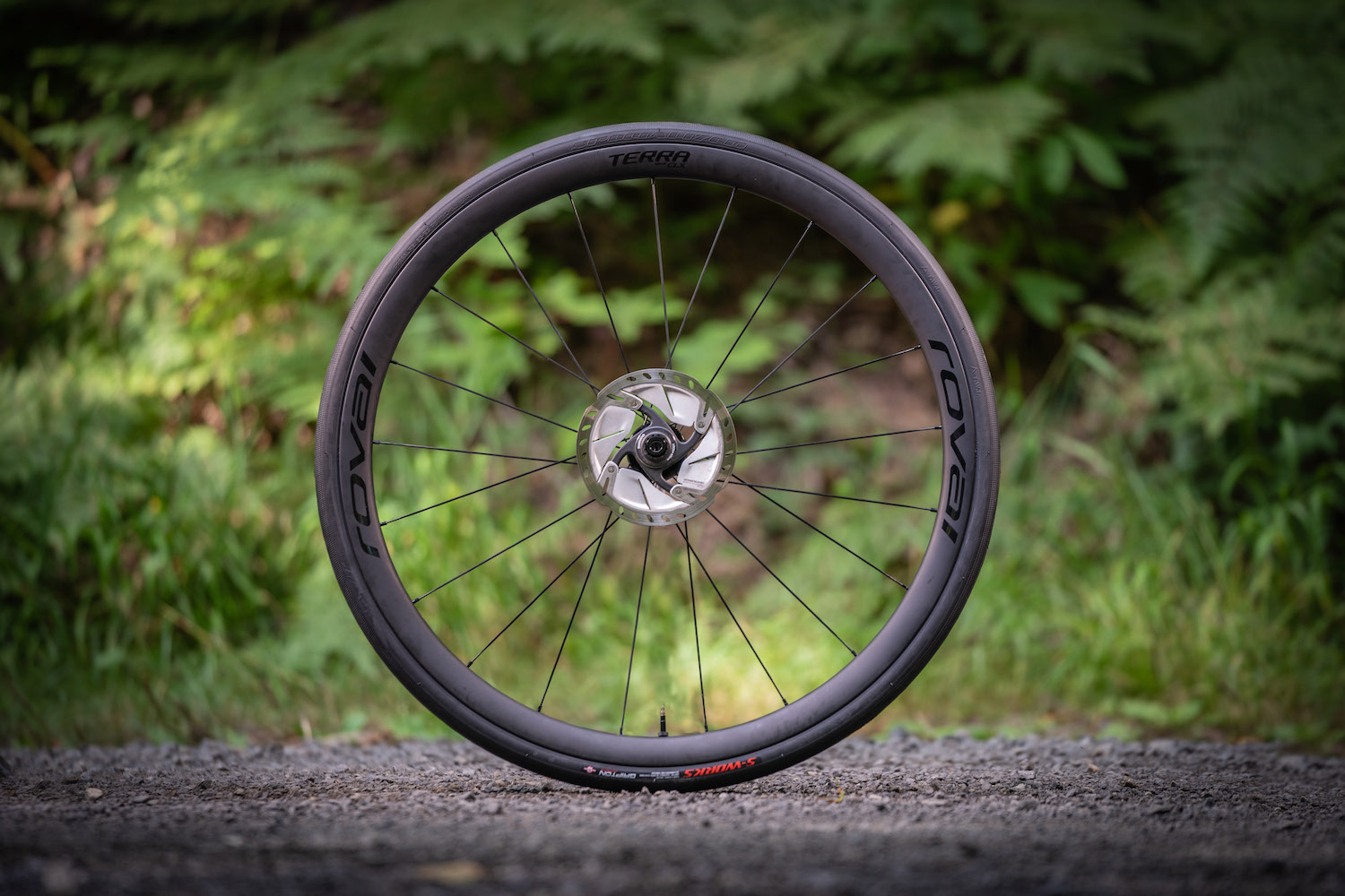 The Roval Terra Gravel Wheel Series | Gearminded