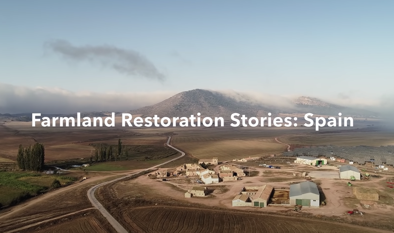 Farmland Restoration Stories: Spain | Gearminded